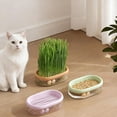 COM1950s Hydroponic Planter Pot, Soilless Cultivation Tray for Indoor ...