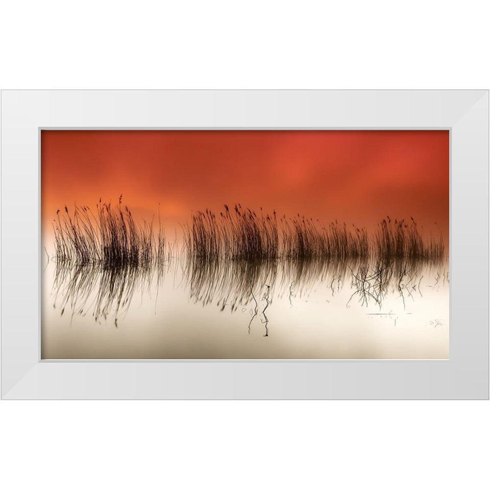 David, Rui 18x12 White Modern Wood Framed Museum Art Print Titled ...
