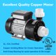 LINGXIAO SPA Circulation Pump, WTC50M Hot Tub Circulating Pump, 0.35HP ...