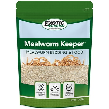 Exotic Nutrition Live Mealworm Breeder Starter Kit - Walmart.com