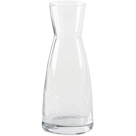 Bormioli Rocco Ypsilon Clear Carafe, 0.5 Liter | Walmart Canada
