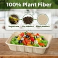 Sugarfiber Disposable 32 oz Compostable Eco Friendly Rectangular Food ...