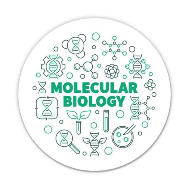 Molecular Biology - 5" Vinyl Sticker - For Car Laptop I-Pad ...