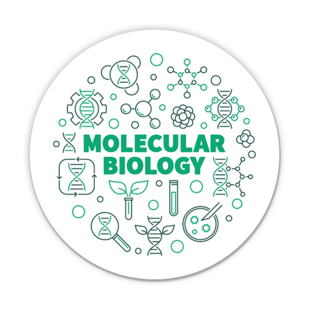 Molecular Biology - 5" Vinyl Sticker - For Car Laptop I-Pad ...