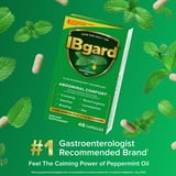 (2 pack) IBgard Digestive Gut Health Supplement for a Combination of ...