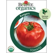 Burpee Bodacious Hybrid Tomato Vegetable Seed, 1-Pack - Walmart.com