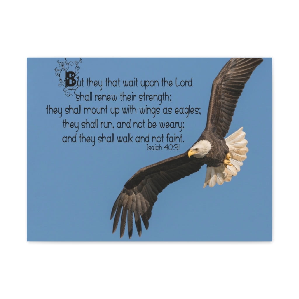 Scripture Walls Renew Their Strength Isaiah 40:31 Bird Bible Verse ...