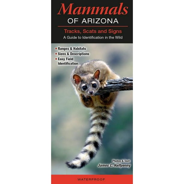 Mammals of Arizona: Tracks, Scats and Signs A Guide to Identification ...