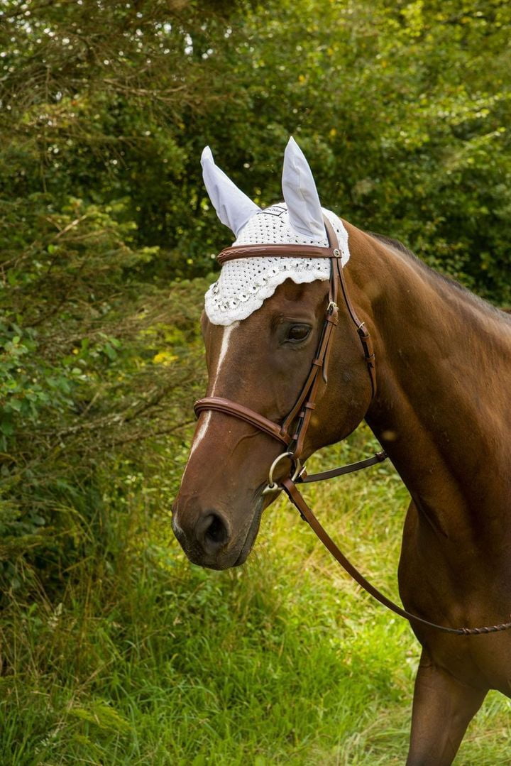 Equine Couture Floral Fly Bonnet New - Walmart.com