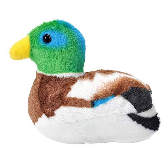 Stuffed Mallard Duck