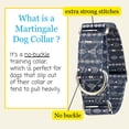 Country Brook Petz® HossFit Jr Wide Martingale Dog Collar (Copper Mesa ...