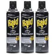 Raid House & Garden Aerosol, 11 OZ, Pack of 3 - Bug Killer, Pesticide ...