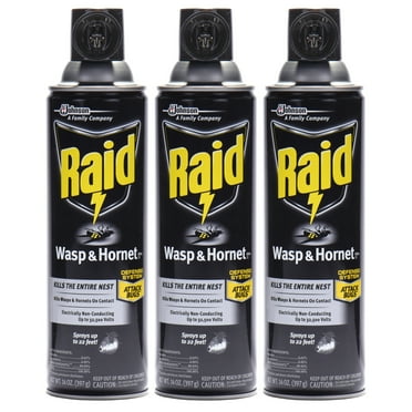 Raid House & Garden Aerosol, 11 OZ, Pack of 3 - Bug Killer, Pesticide ...
