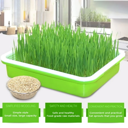 Comaie Seed Sprouter Kitchen Seed Sprouting Tray Soil-Free Garden Seed ...