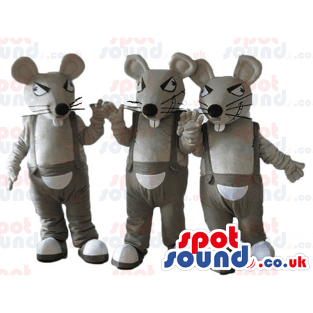 Three grey mice with white bellies- long moustaches- sharp teeth and ...