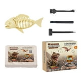 Archaeology Discovery Excavation Kits Archaeology Science Kits for ...