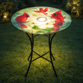 Outdoor Bird Bath, Solar Bird Bath, Red Bird Pattern, with Metal Stand ...