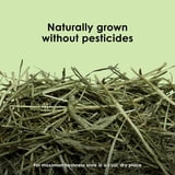 Kaytee Timothy Wafer Cut Hay for Rabbits, Guinea Pigs, Rats - High ...