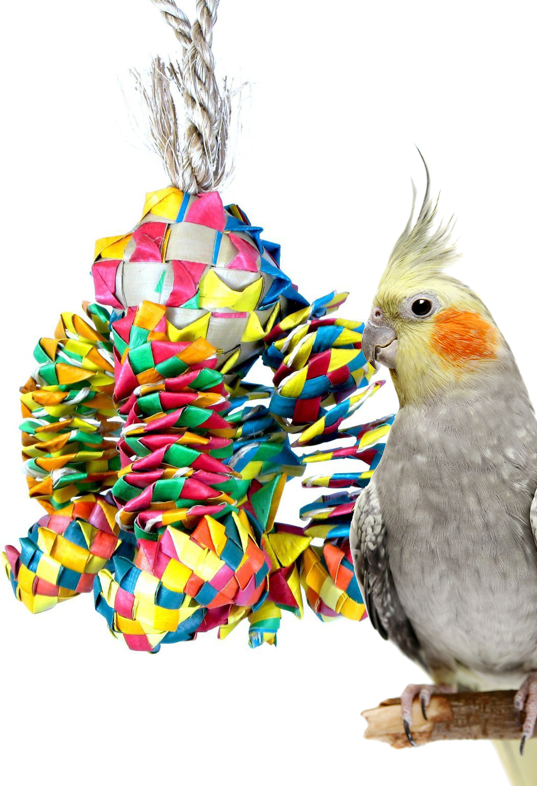 Bonka Bird Toys 03326 Small Diamond Bouncer Bird Toy. - Walmart.com ...