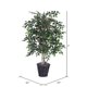 Vickerman 4' Artificial Mini Ficus Bush, Rattan Basket. - Walmart.com