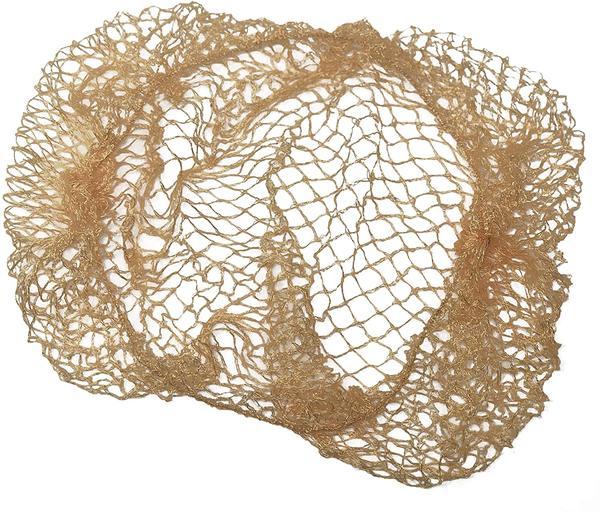 Popular Life Scarlett Durable and Invisible Hair Nets, Light Brown ...