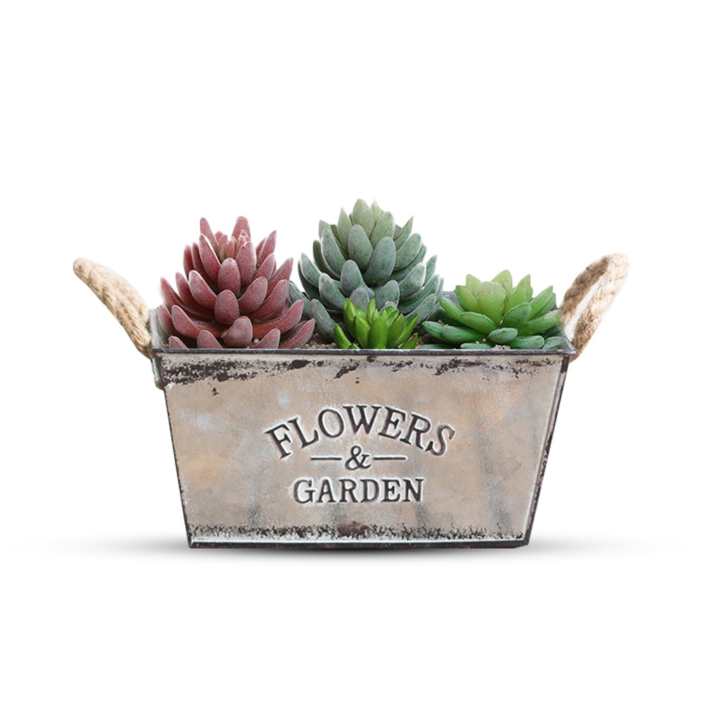 Hariumiu Garden Retro Iron Flower Pots, European Style Succulent Pots ...
