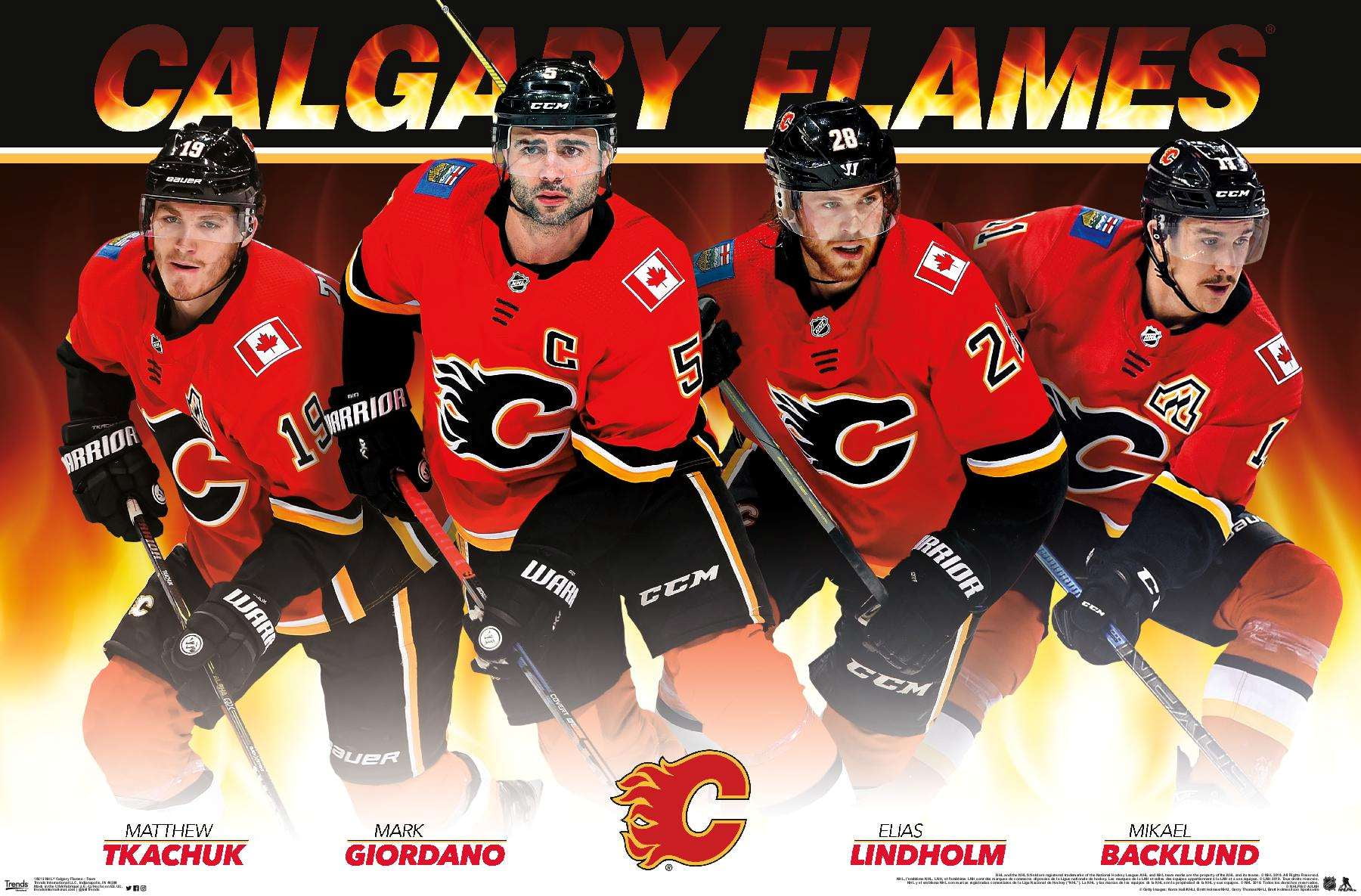 Trends International Printed Calgary Flames Poster, 22.37" x 34 ...