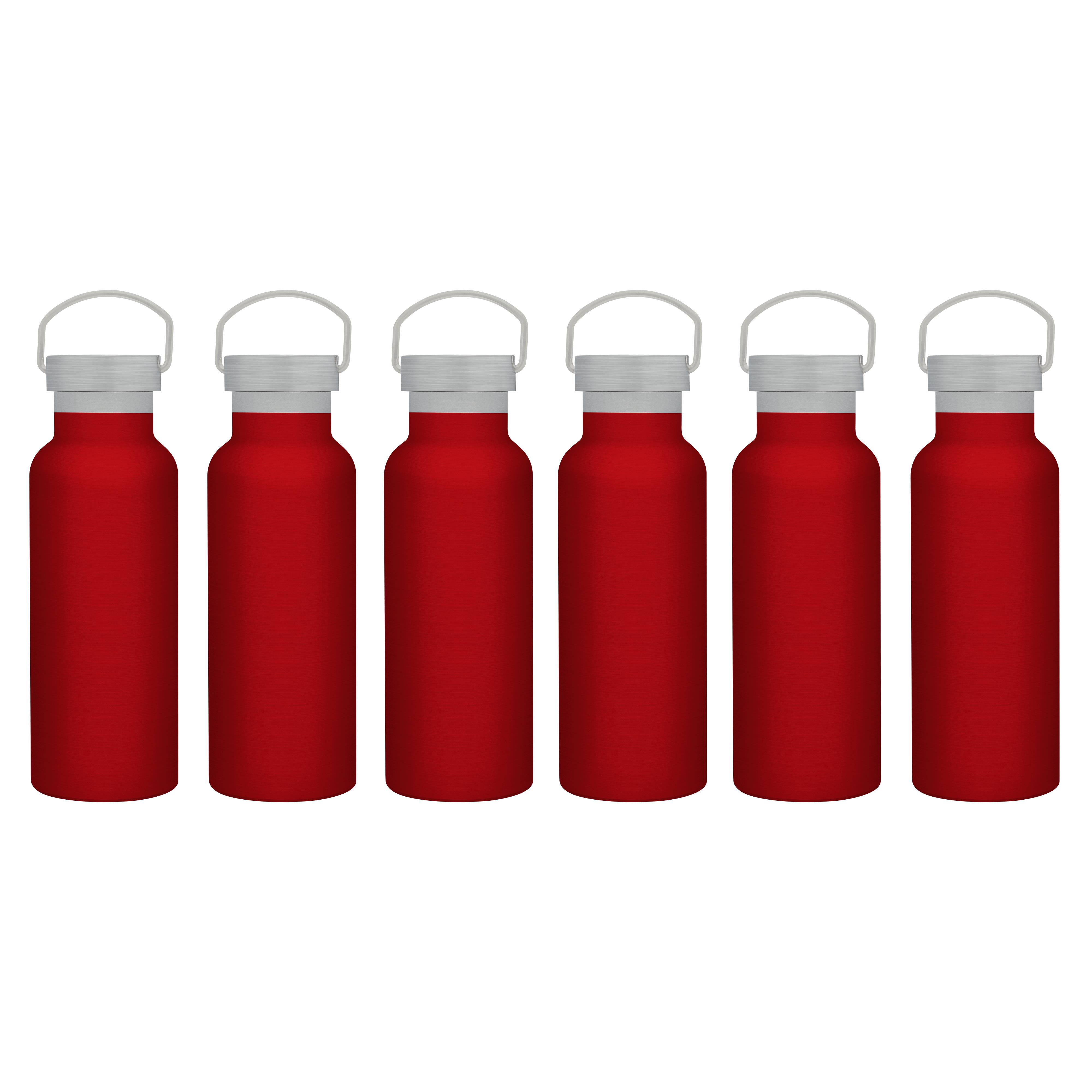 6 Stainless Steel Canteen Water Bottles Set, 17 oz. - Double Wall, Wire ...