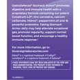 GastroDefense® STOMACH ARMOR ®: Support stomach and GI health ...