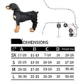 XIRQI 2026 New Dog Knee Brace for Torn Acl Hind Leg Adjustable Dual ...