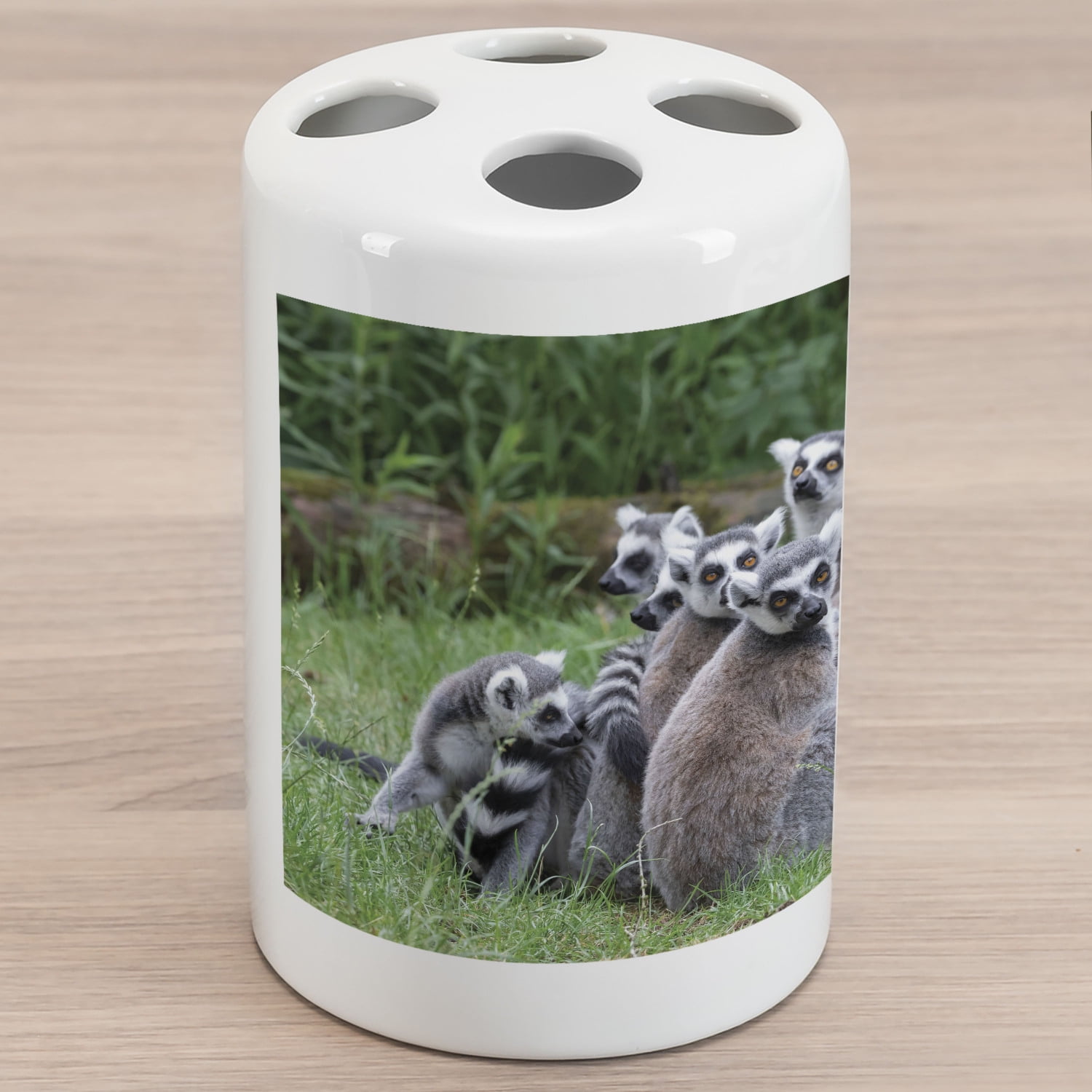 Lemur Ceramic Toothbrush Holder, Photo of Madagascar Monkey Ring Tailed ...