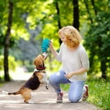 Squeaky Pig Dog Toy, Anxiety Relief Chew Toy for Small to Large Dogs ...