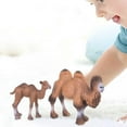 Tebru Miniature Animal Model,2pcs Miniature Camel Figurine Animal Model ...
