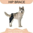 Dog Leg Fracture Protector - Pet Front & Rear Leg Support Auxiliary ...