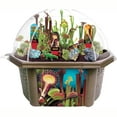 Toys By Nature: Carnivorous Creatures - DIY Biosphere Terrarium Starter ...