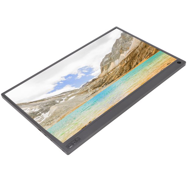 Portable Video Monitor