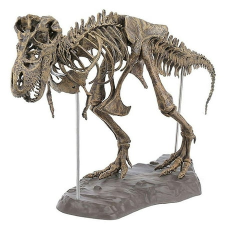 Tyrannosaurus Rex Skeleton Dinosaur Animal Collector Decor Model Toy ...