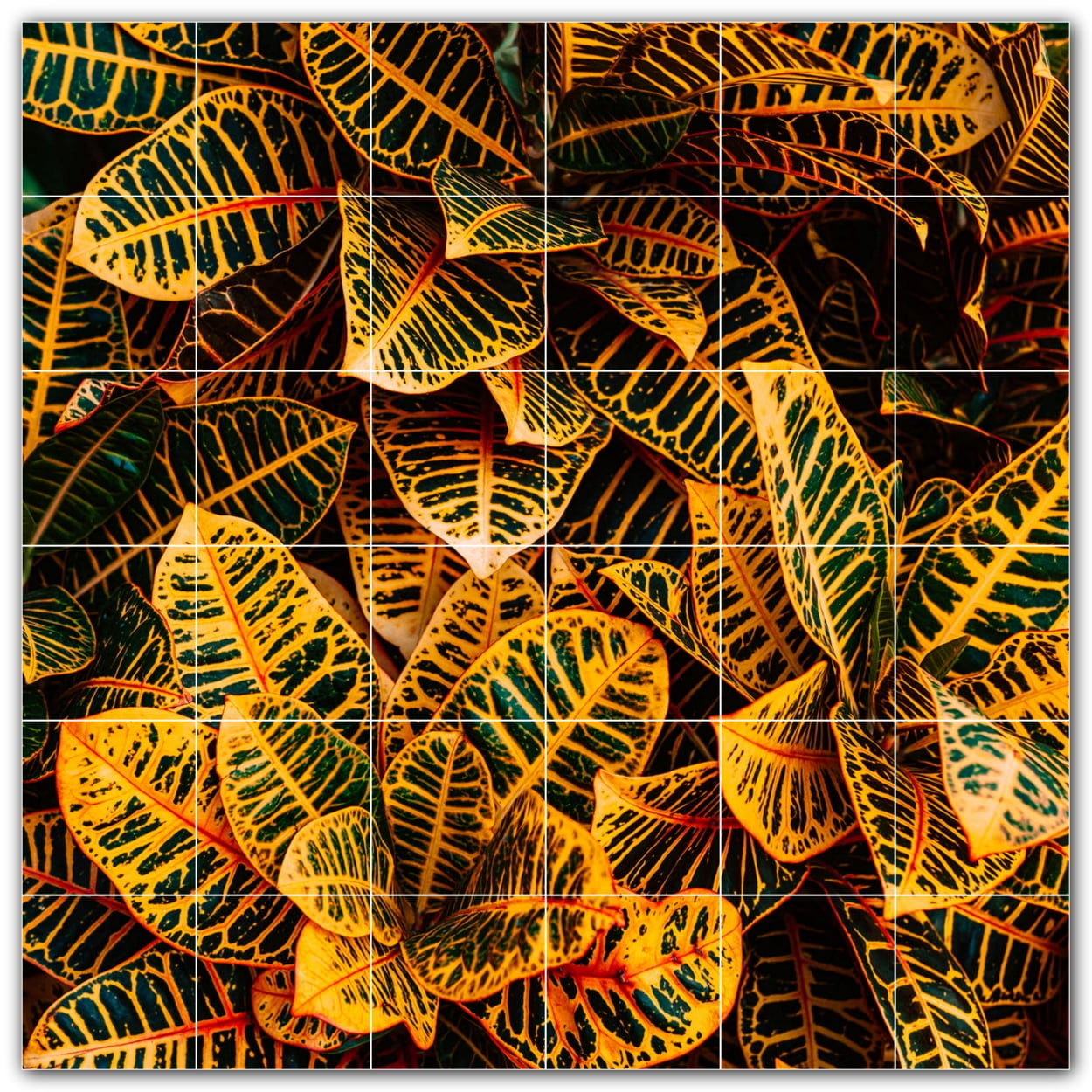 Picture-Tiles.com: Trees Ceramic Tile Wall Mural WAL501021-66XL. 72"W x ...