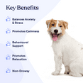 Pawfy Calming Chews for Dogs | Promotes Relaxation, Sleep Aid & Stress ...
