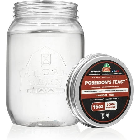 Poseidon's Feast :: Live Marine Copepods - 3000+ Tisbe & Tigriopus Pods ...