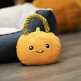 Vibrant Life Halloween 6in Squeaky Plush Dog Toy, Pumpkin Rope Toy ...