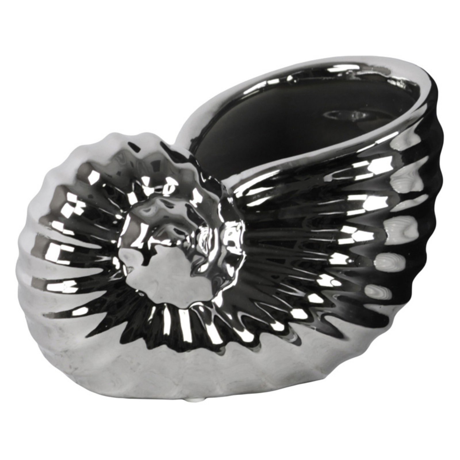 Urban Trends Collection: Ceramic Seashell Sculpture, Polished Chrome ...