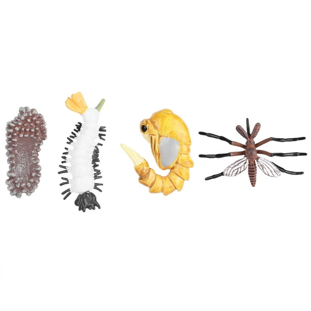 Insect Growth Cycle Model,Insect Life Cycle Figurines Ant Life Cycle ...