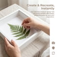 SEWOART Specimen Display Box with Glass Top Wooden Frame for Flower ...