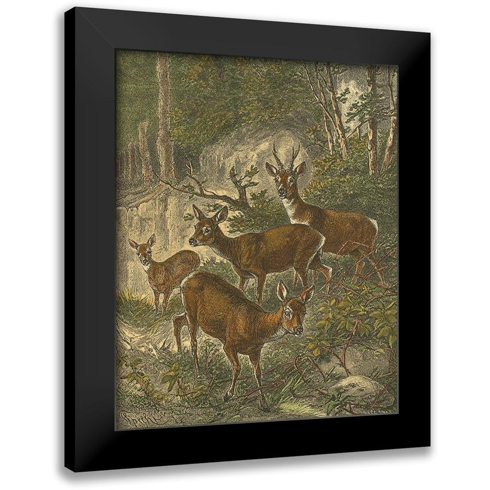 Specht, Friedrich 15x18 Black Modern Framed Museum Art Print Titled ...