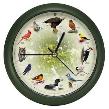 Audubon 13 Inch Singing Bird Wall Clock - Hourly Song, Hanging, Sound ...