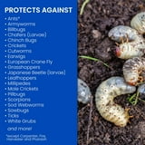 BioAdvanced 24-Hour Lawn Grub, Ant, Tick, and Insect Killer, 10-Pound ...