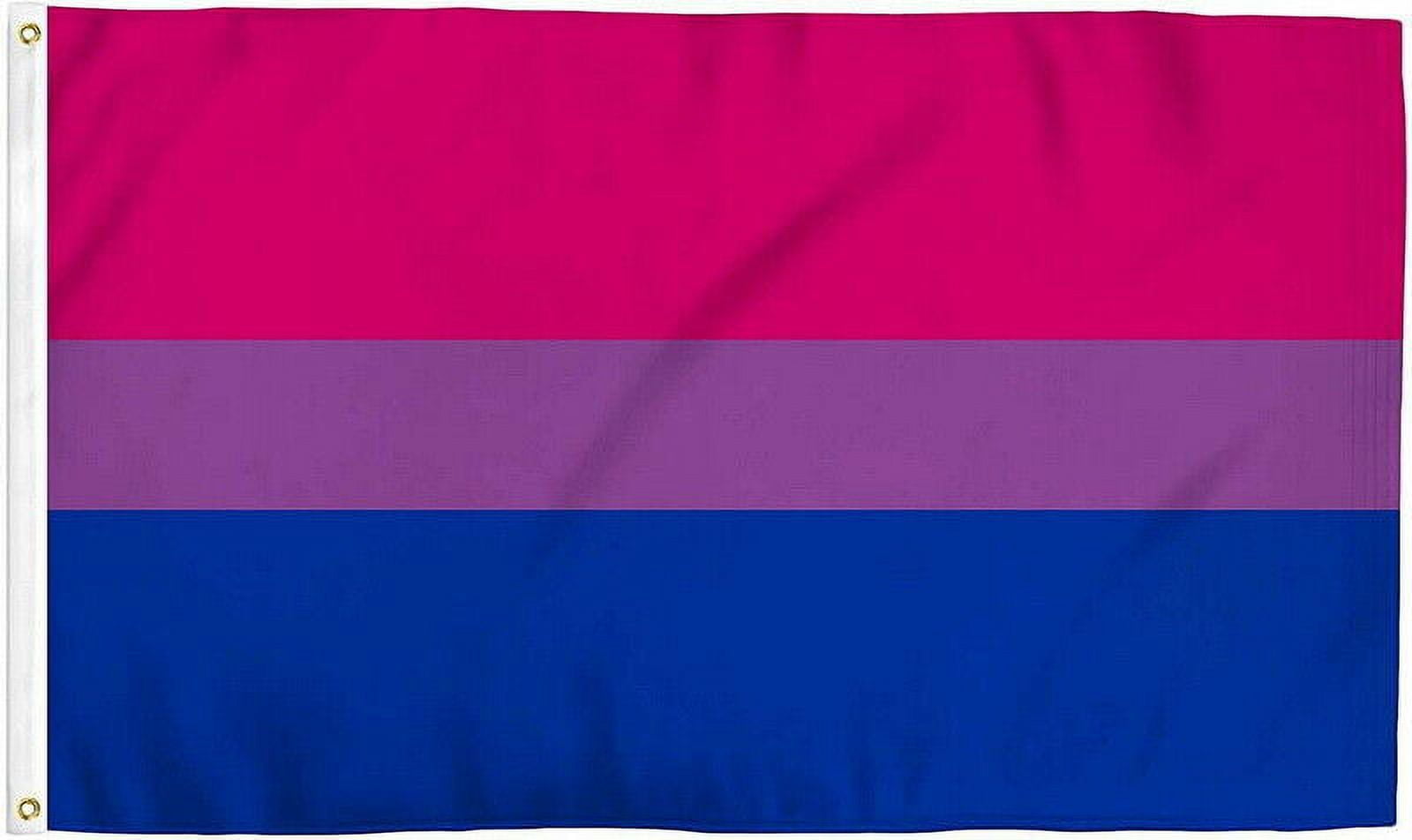 3x5 FT Flag Bi Pride Flag Bisexual Flag Polyester Double Stitched FL15 ...