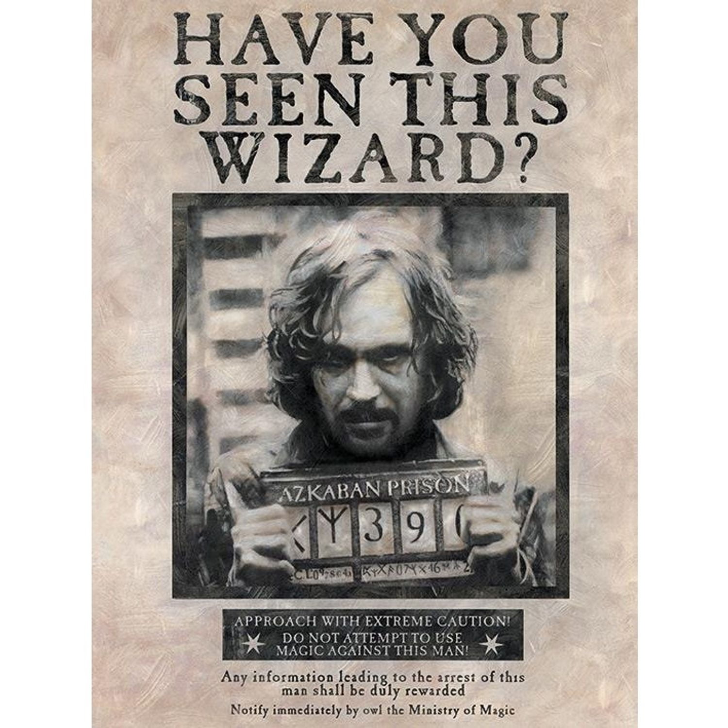 Click here for Harry Potter Wanted Sirius Black Canvas Print 40cm... prices
