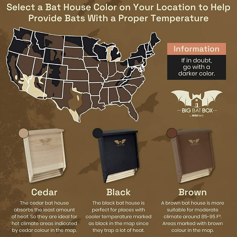 Bat House Color Map Teacher Bits And Bobs Bats Haunted Houses And A
